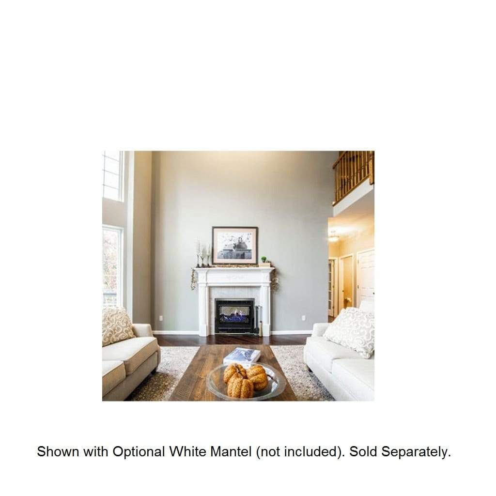 Buck Stove Model 1127 Vent Free Gas Heating Stove with Blower